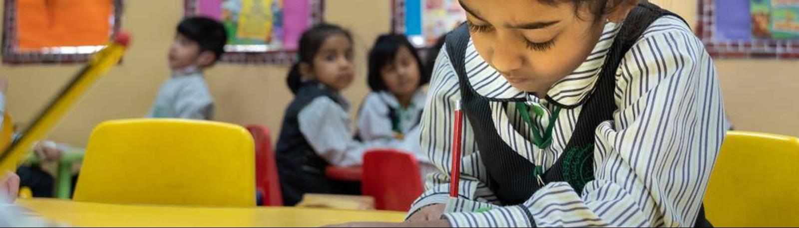 Pakistan Islamia Higher Secondary School - Sharjah